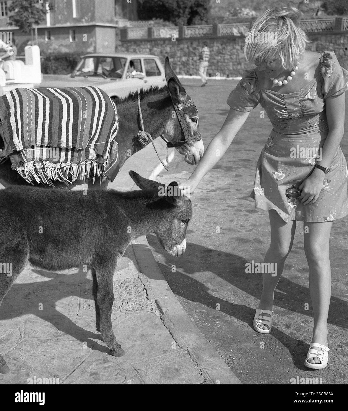 Woman wearing a dress and a necklace pets donkeys in a street in ...