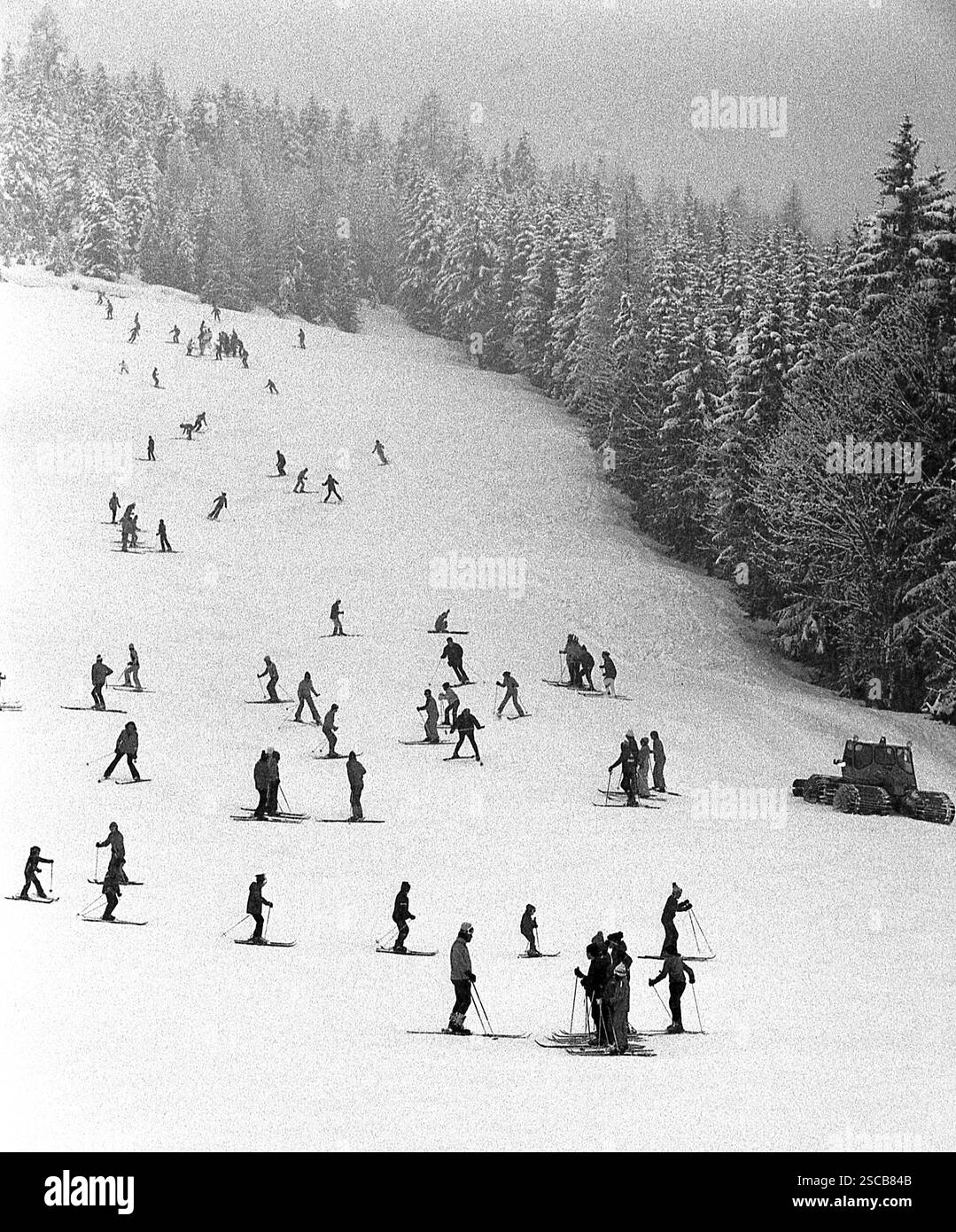 View of a ski slope in Kulm in Austria. On the right side of the slope ...