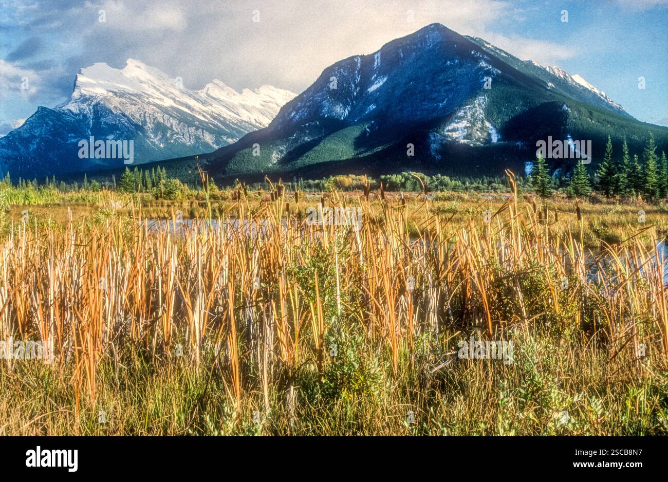Mount Rundle and Sulphur Mountain at the Vermilion Lakes. In the Bow ...
