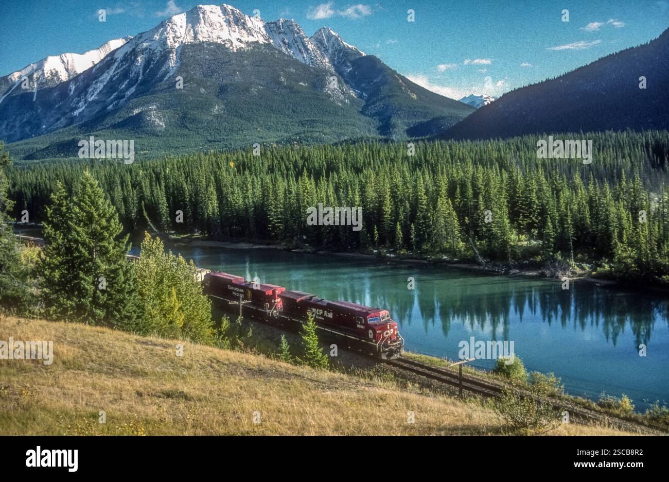 A Canadian Pacific freight train beside the Bow River in Banff National Park, Alberta, Canada ...