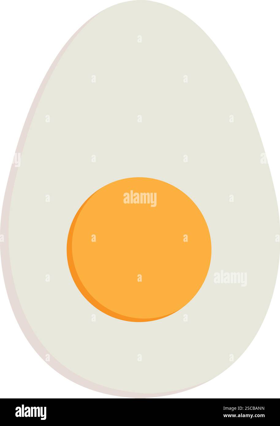 Boiled egg sliced vector isolated on white background Stock Vector Image & Art - Alamy