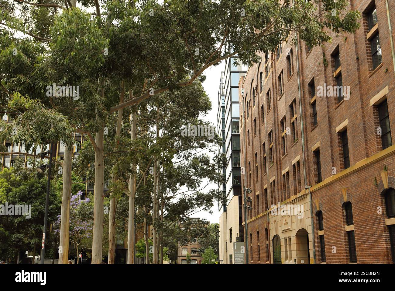 Chippendale building hi-res stock photography and images - Alamy