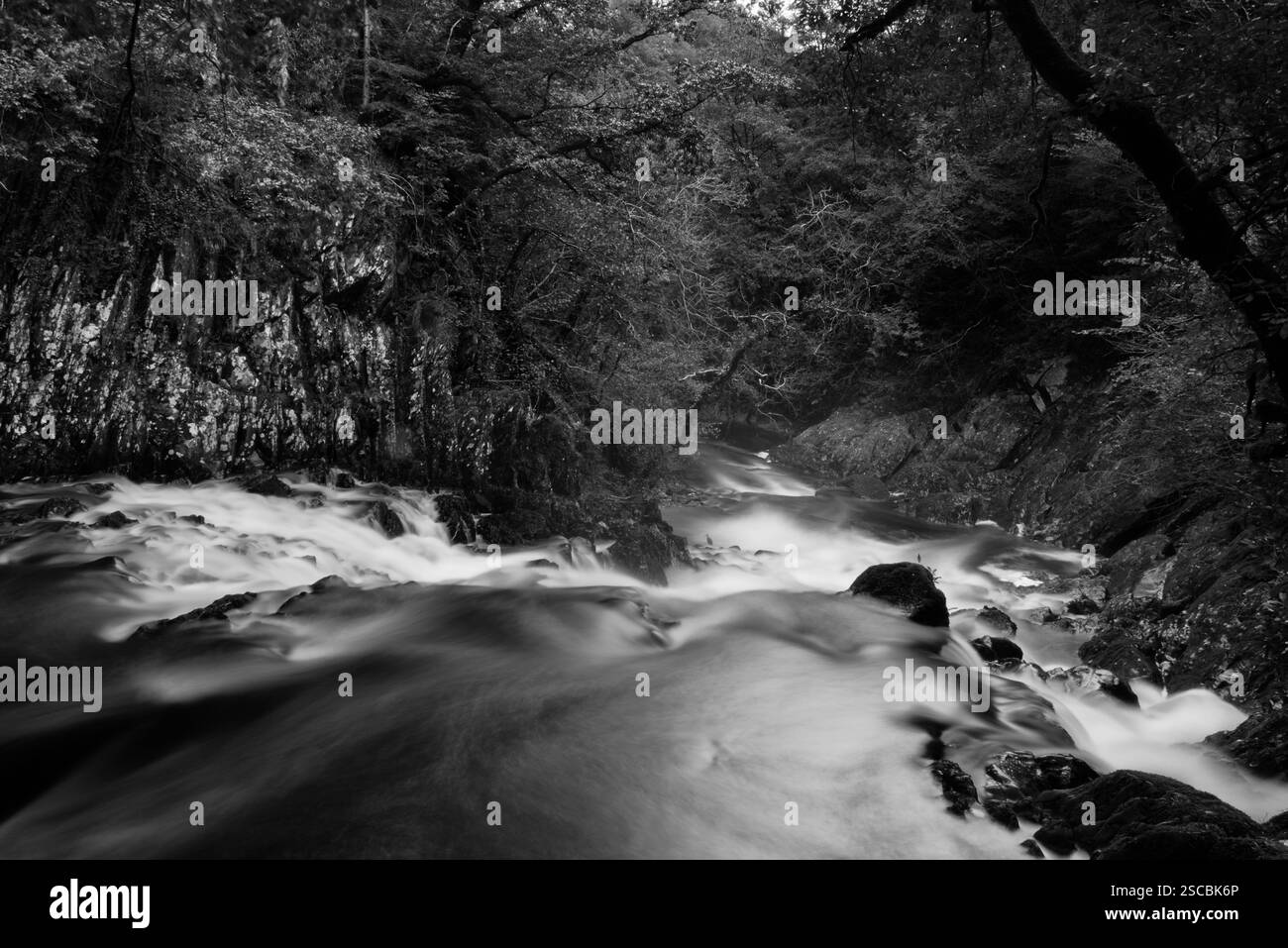 People swallow Black and White Stock Photos & Images - Alamy