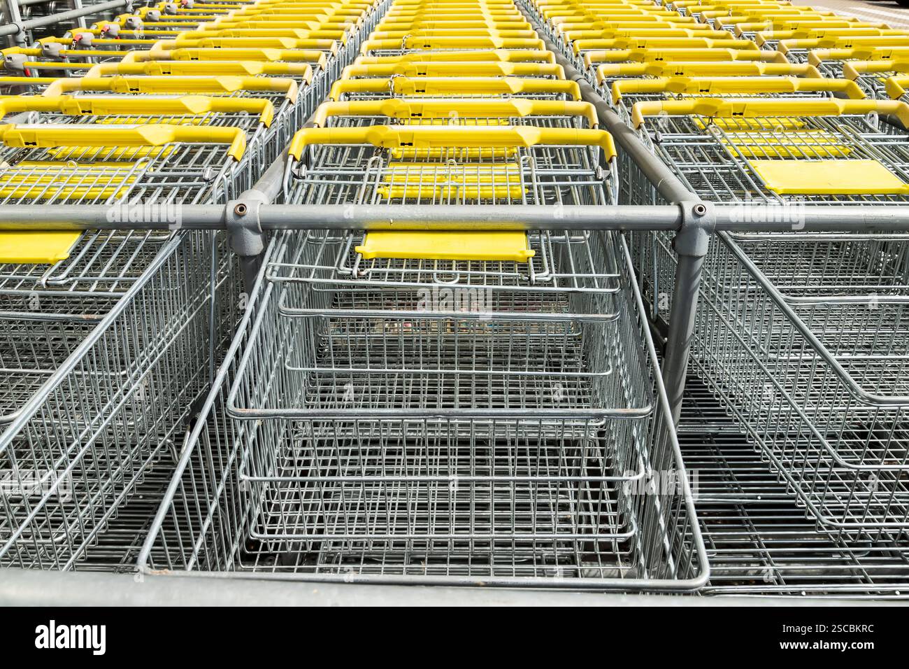 Rows of yellow shopping carts in a rack Stock Photo - Alamy