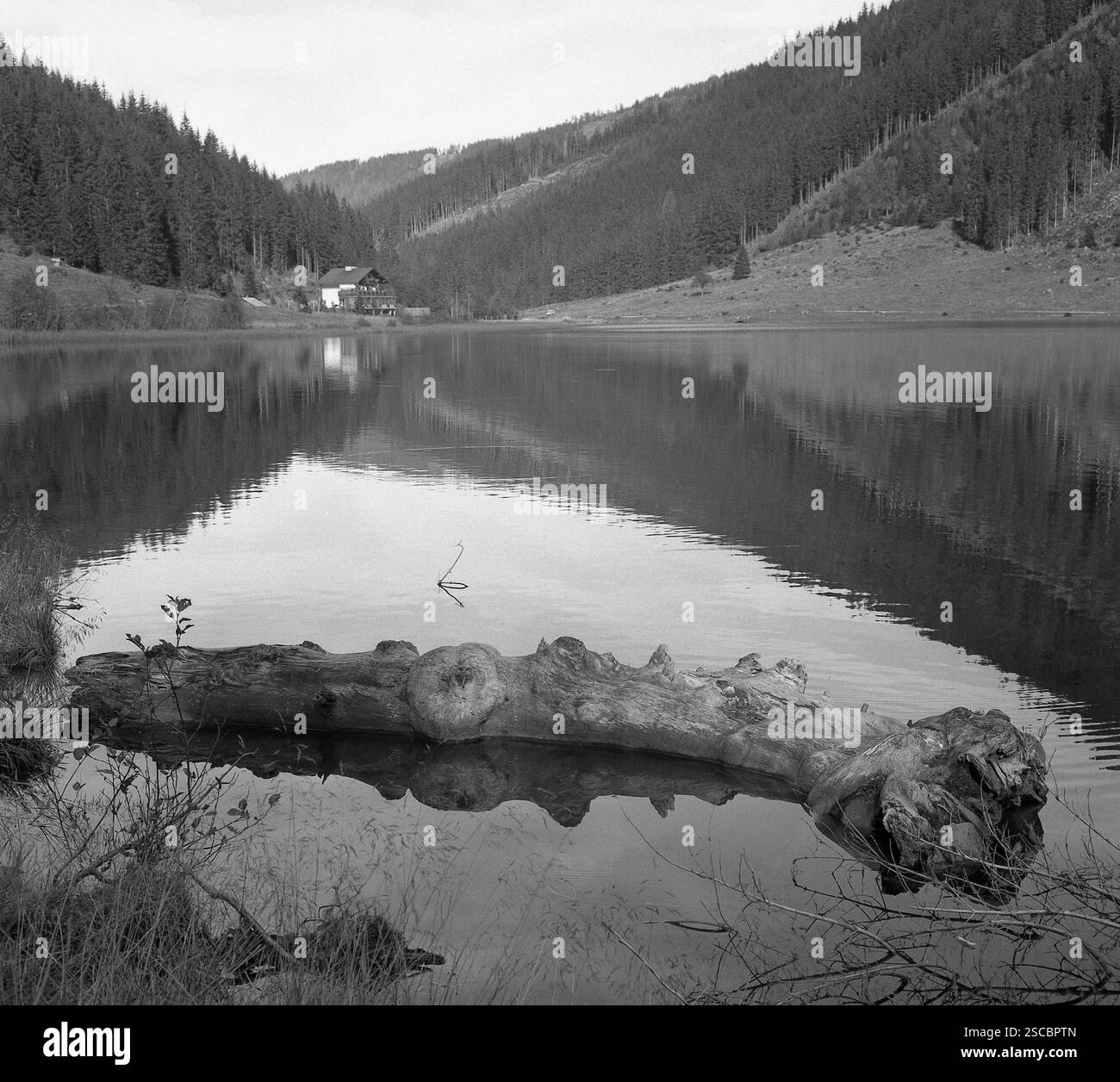 House at water lake Black and White Stock Photos & Images - Alamy