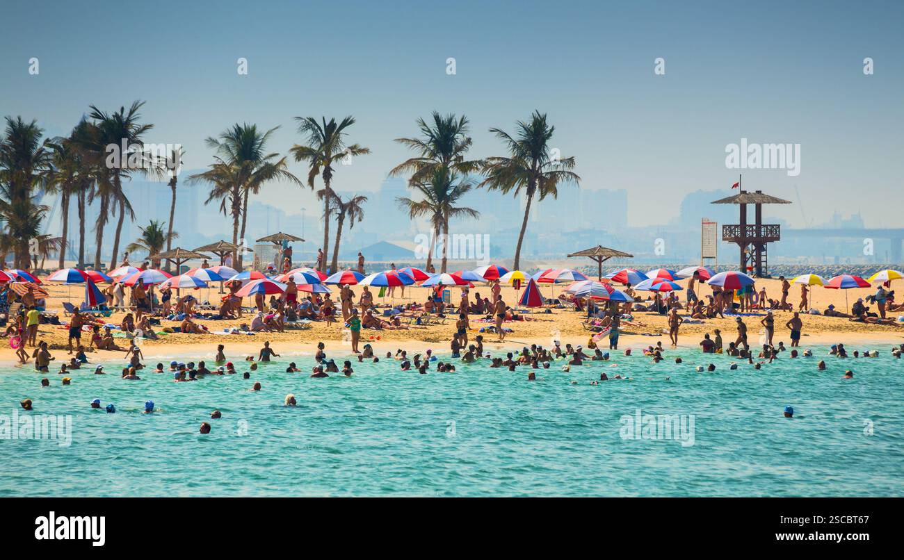 UAE; OCT 31, 2013. Beautiful Beach with palm tree in United Arab ...
