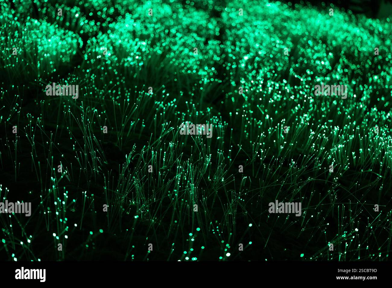Abstract green background of glitter flying in the night forest. Fairy ...