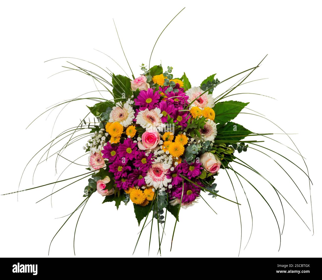 Euc Cut Out Stock Images & Pictures - Alamy