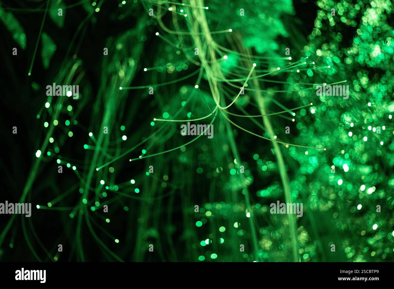 Abstract green background of glitter flying in the night forest. Fairy ...