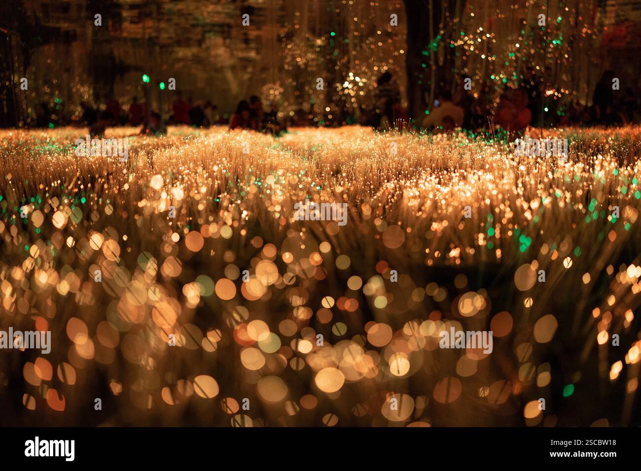 Abstract gold background of glitter flying in the night forest. Fairy ...