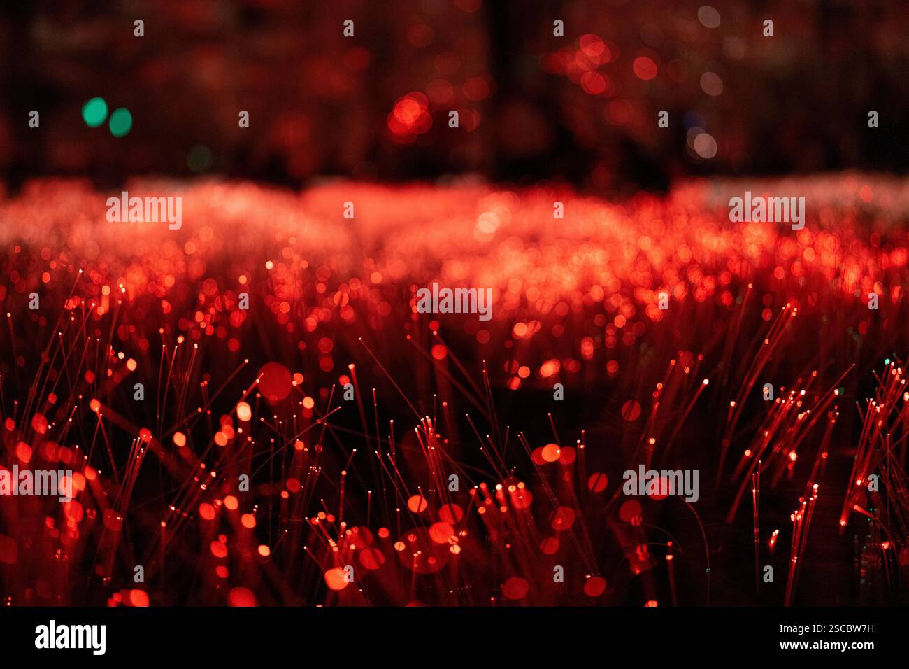 Abstract red background of glitter flying in the night forest. Fairy ...