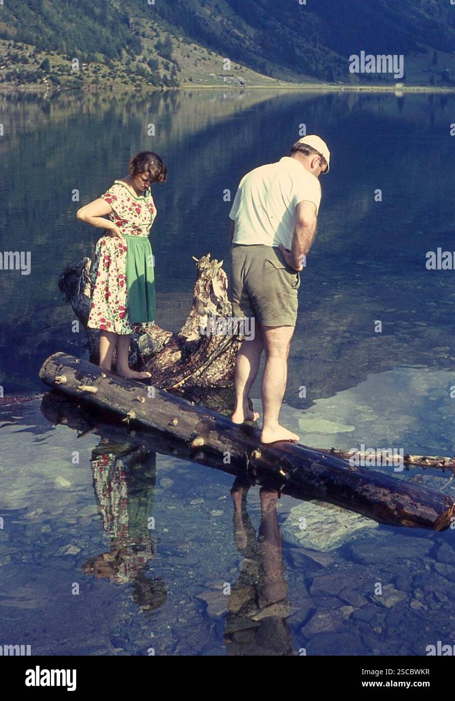 Rolling tree trunk at Riesachsee in the Niedere Tauern. [automated ...