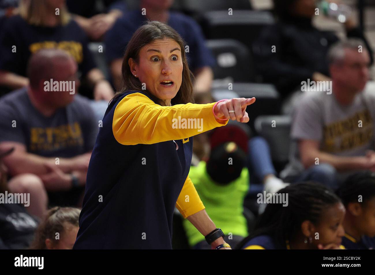 SPARTANBURG, SC - FEBRUARY 01: East Tennessee State Buccaneers head ...