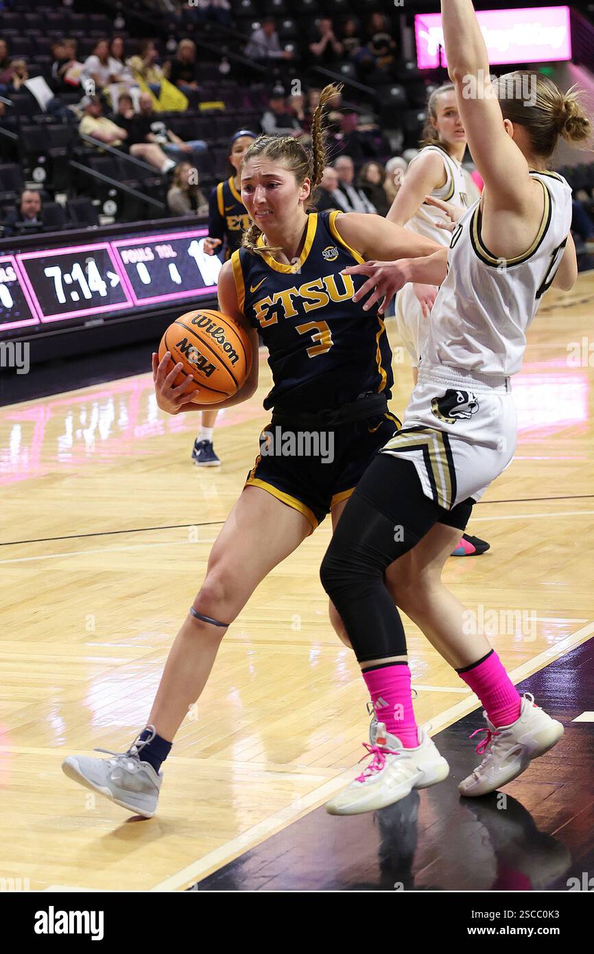 SPARTANBURG, SC - FEBRUARY 01: East Tennessee State Buccaneers guard ...