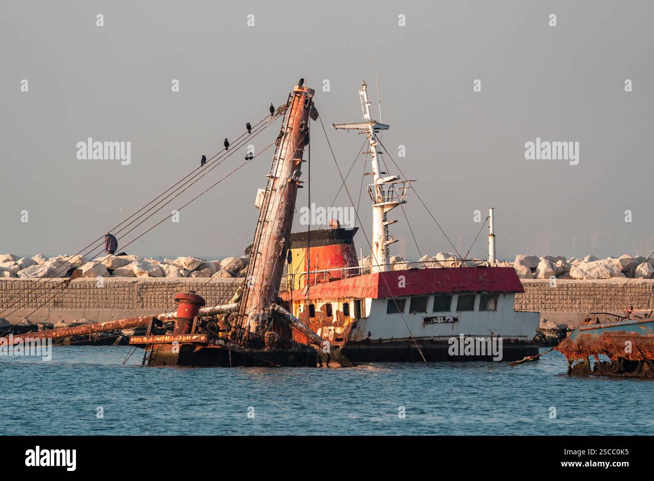 The rusted metal hull of a ship, small micro-organisms adhering to the ...