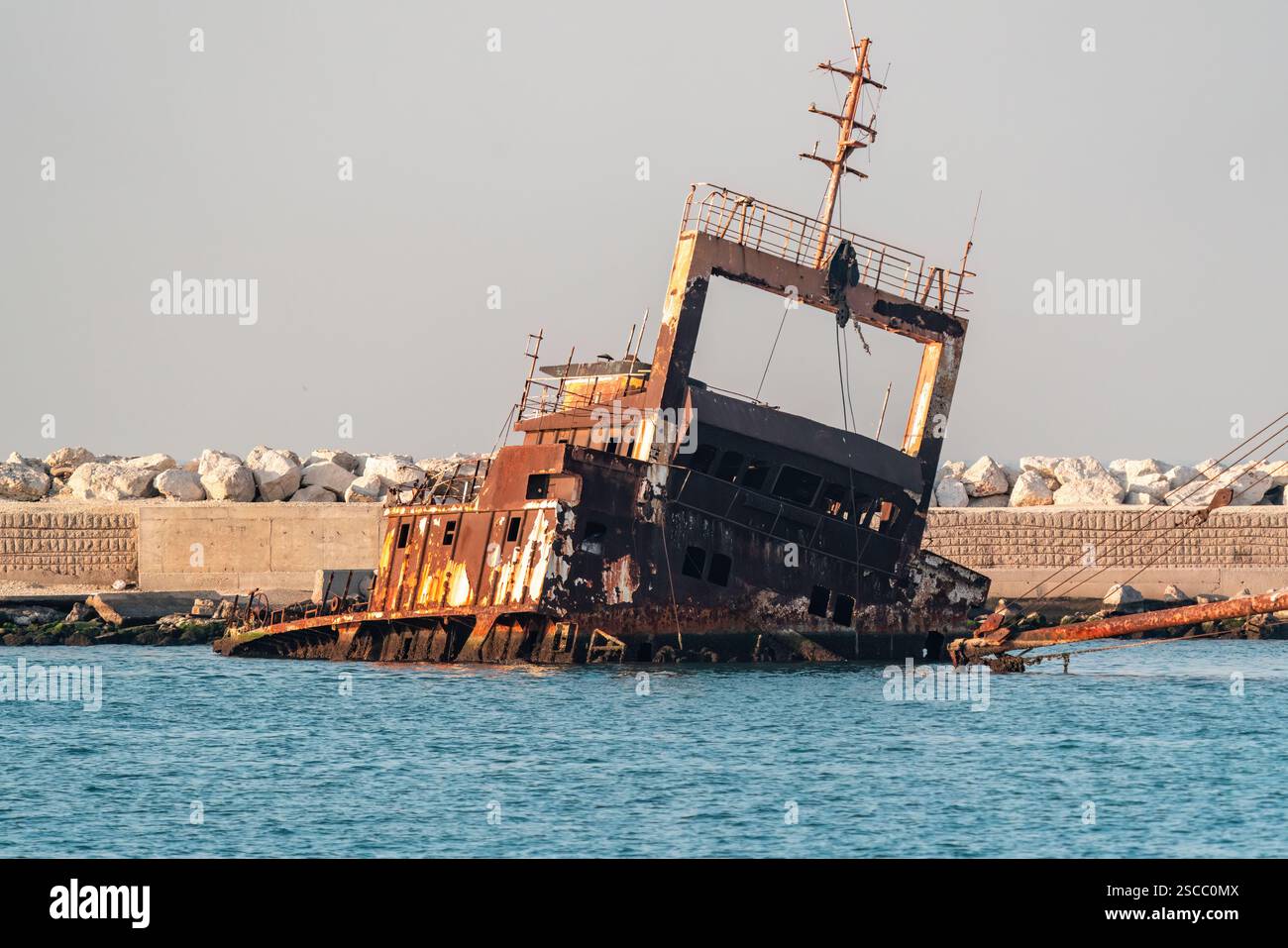 The rusted metal hull of a ship, small micro-organisms adhering to the ...