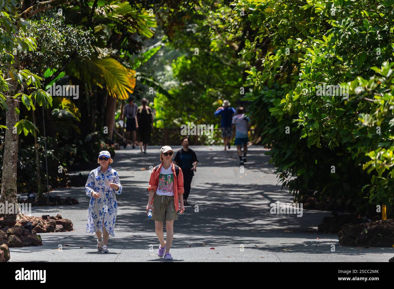 Visitors wandering in the lush greenery space at Singapore Botanic ...