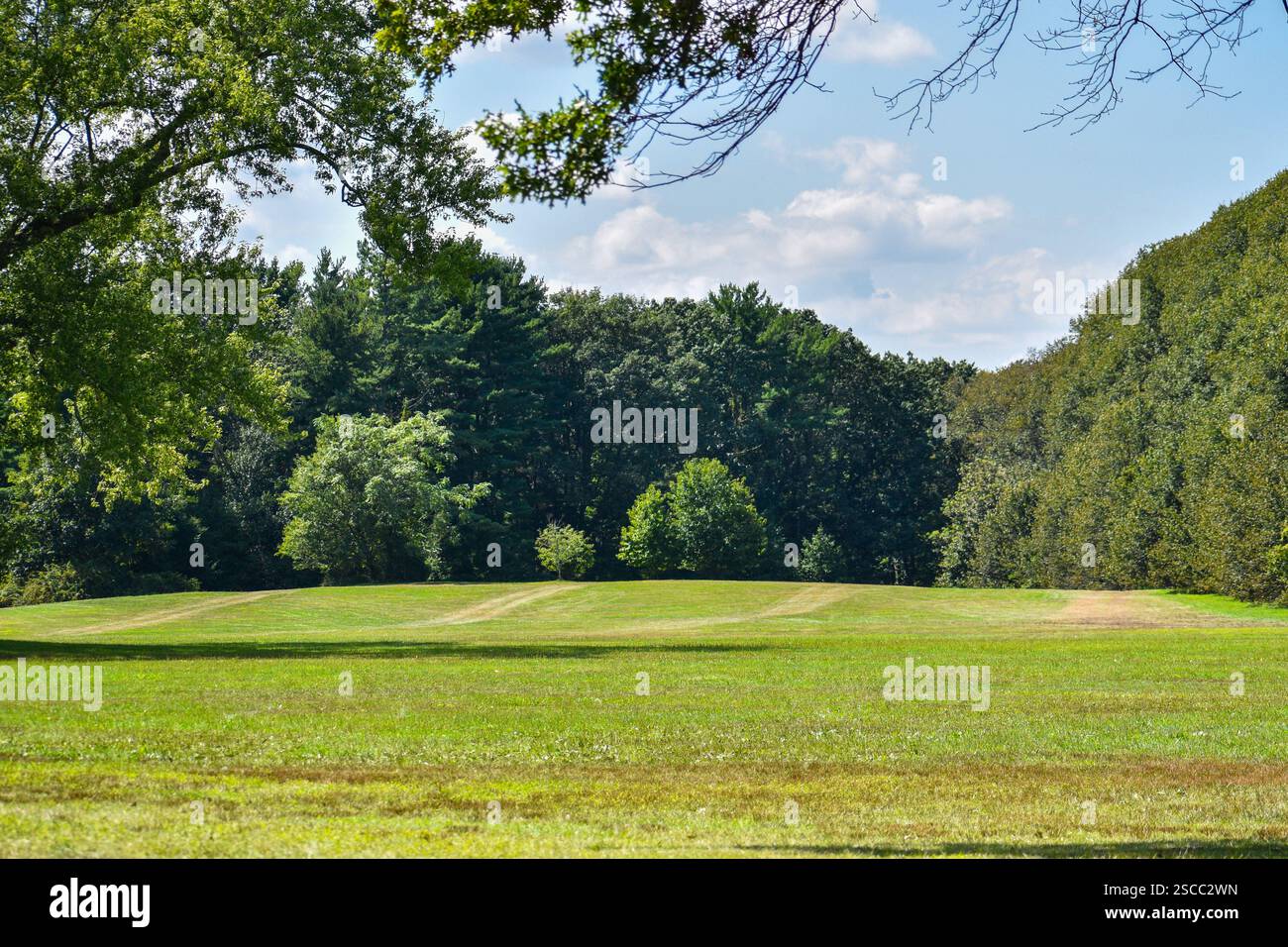 Green grass field lawn with trees, Old Westbury Gardens Stock Photo - Alamy