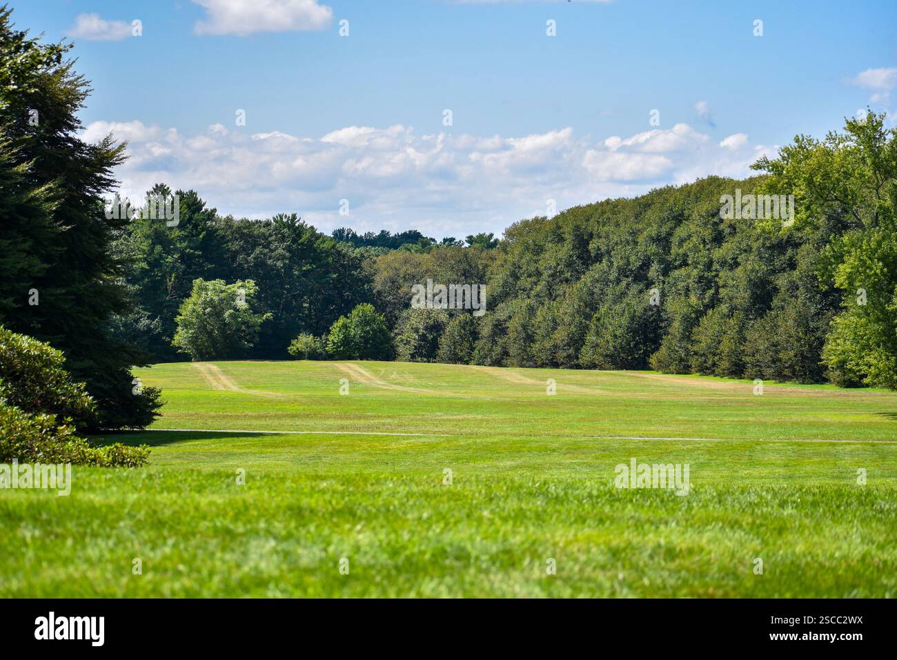 Green grass field lawn with trees, Old Westbury Gardens Stock Photo - Alamy