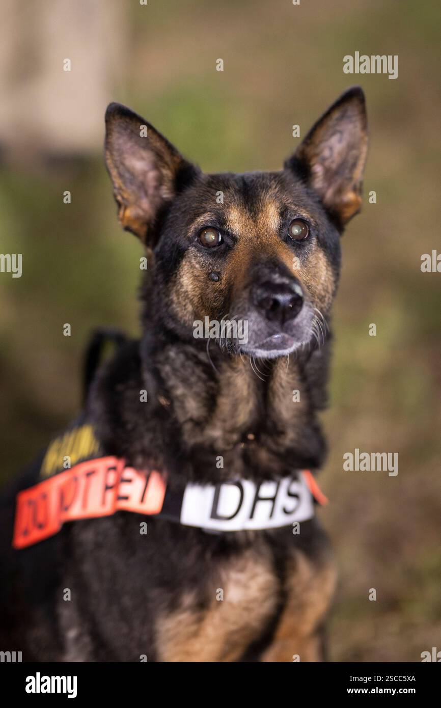 Employees with the Department of Homeland Security (DHS) Transportation ...