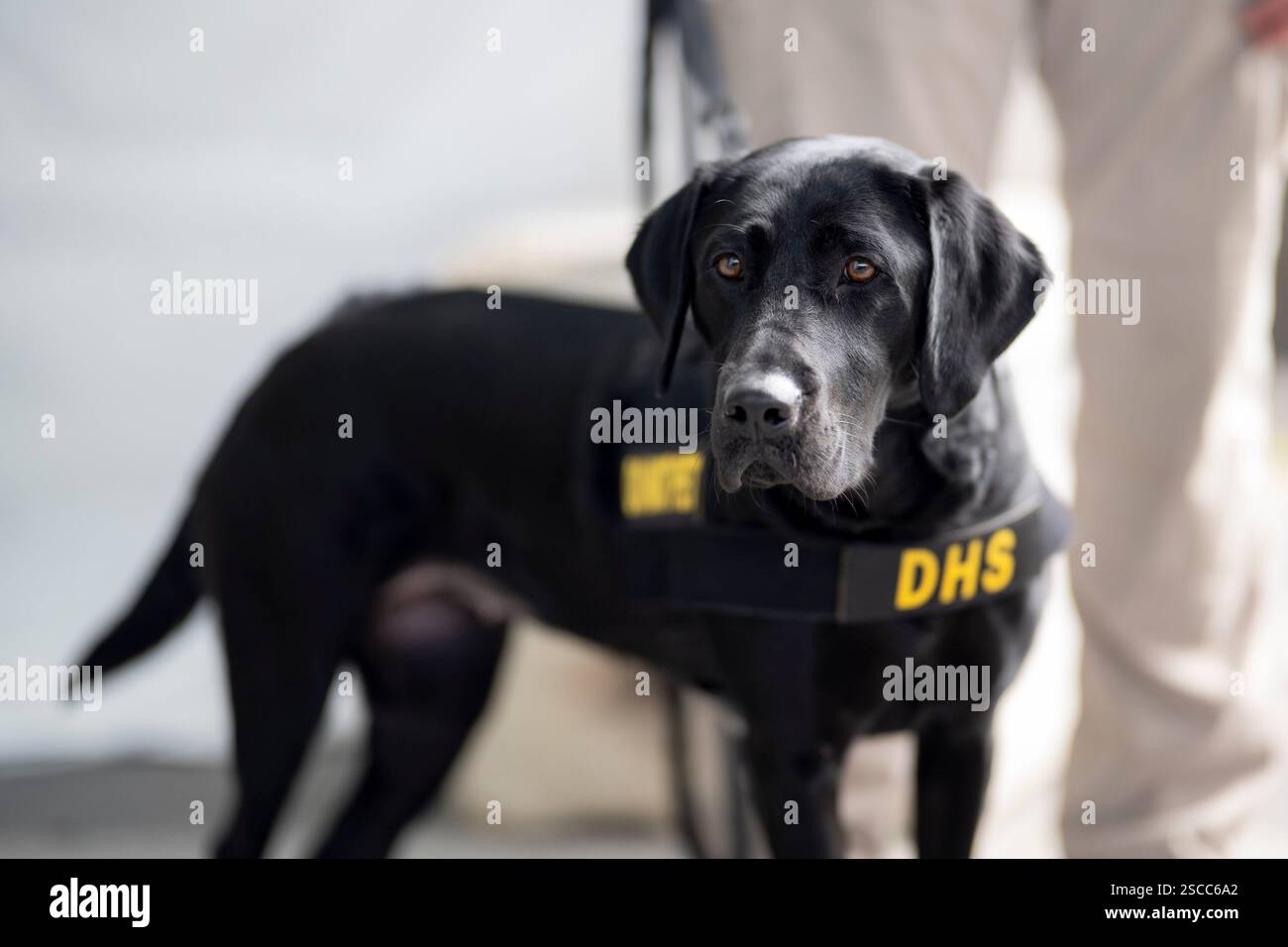 Employees with the Department of Homeland Security (DHS) Transportation ...