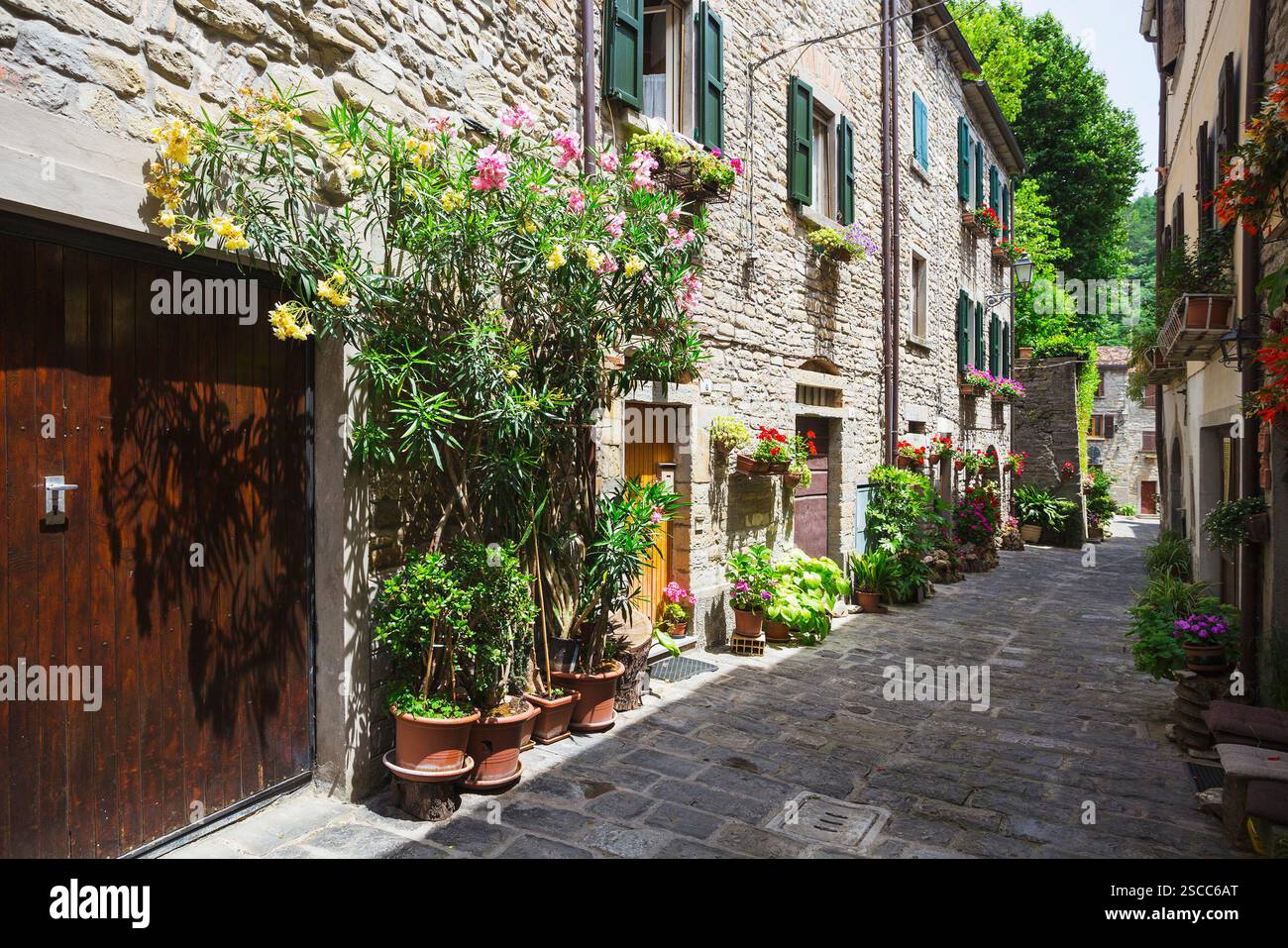 typical Italian street in a small provincial town of Tuscan, Italy ...