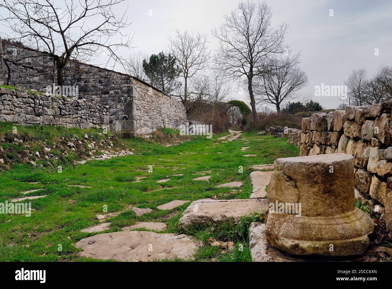 Saepinum. The Decumanus and, at the end, Benevento gate (Porta ...