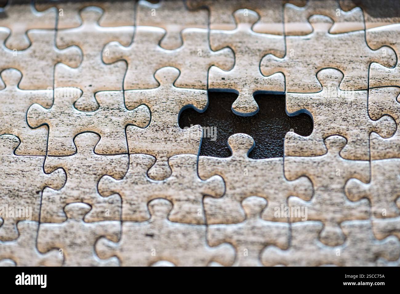 Puzzle im Gegenlicht, Studioaufnahme, BLF, *** Puzzle in backlight, studio shot, BLF, 25003383 ...