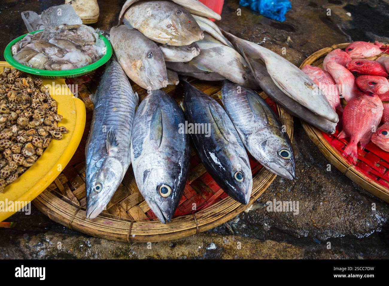 Sale of fish and seafood in market. Nha Trang, Vietnam Stock Photo - Alamy