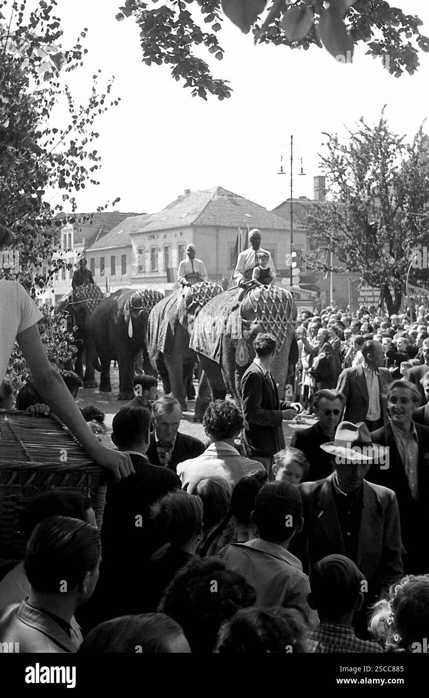 Circus day parade Black and White Stock Photos & Images - Alamy