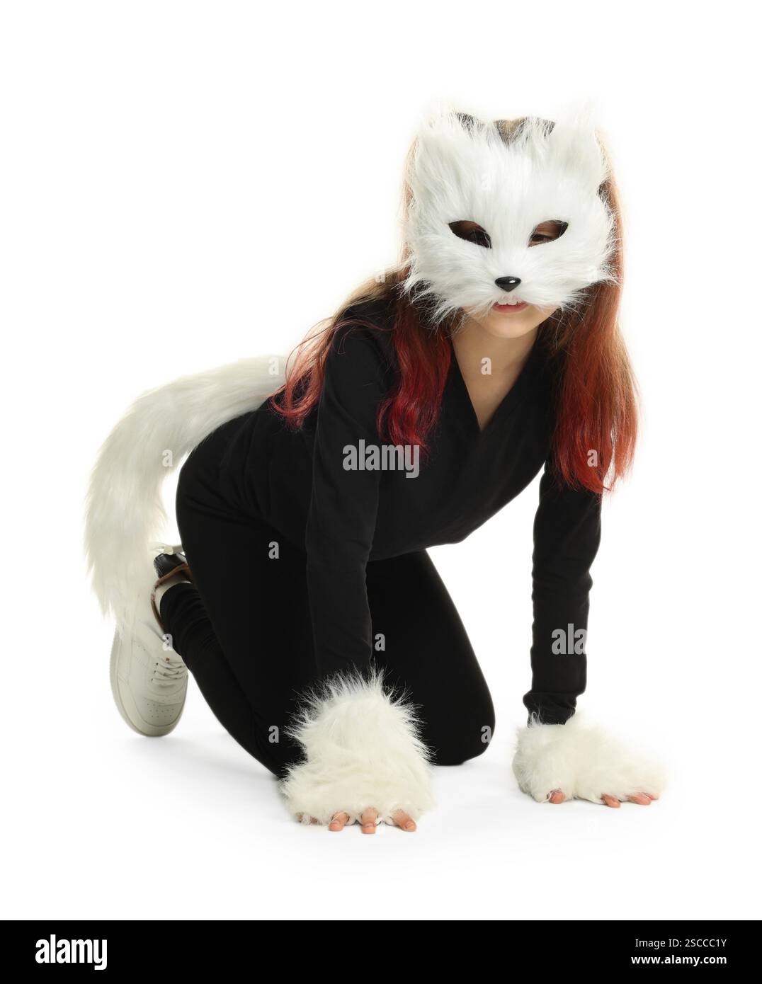 Quadrobics. Girl wearing cat mask, tail and gloves on white background ...
