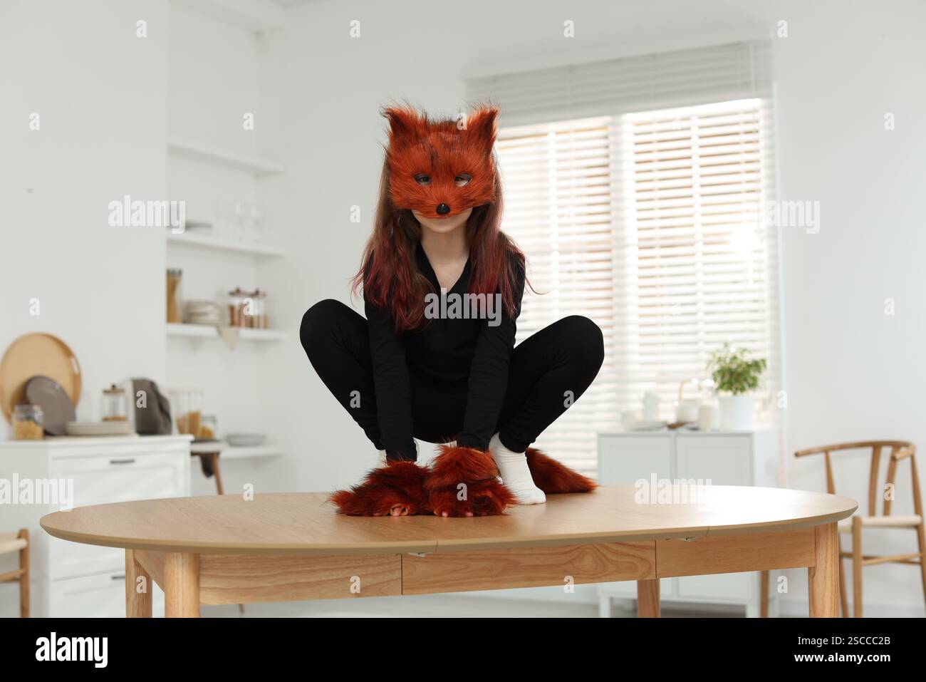 Quadrobics. Girl wearing fox mask, tail and gloves on table at home ...