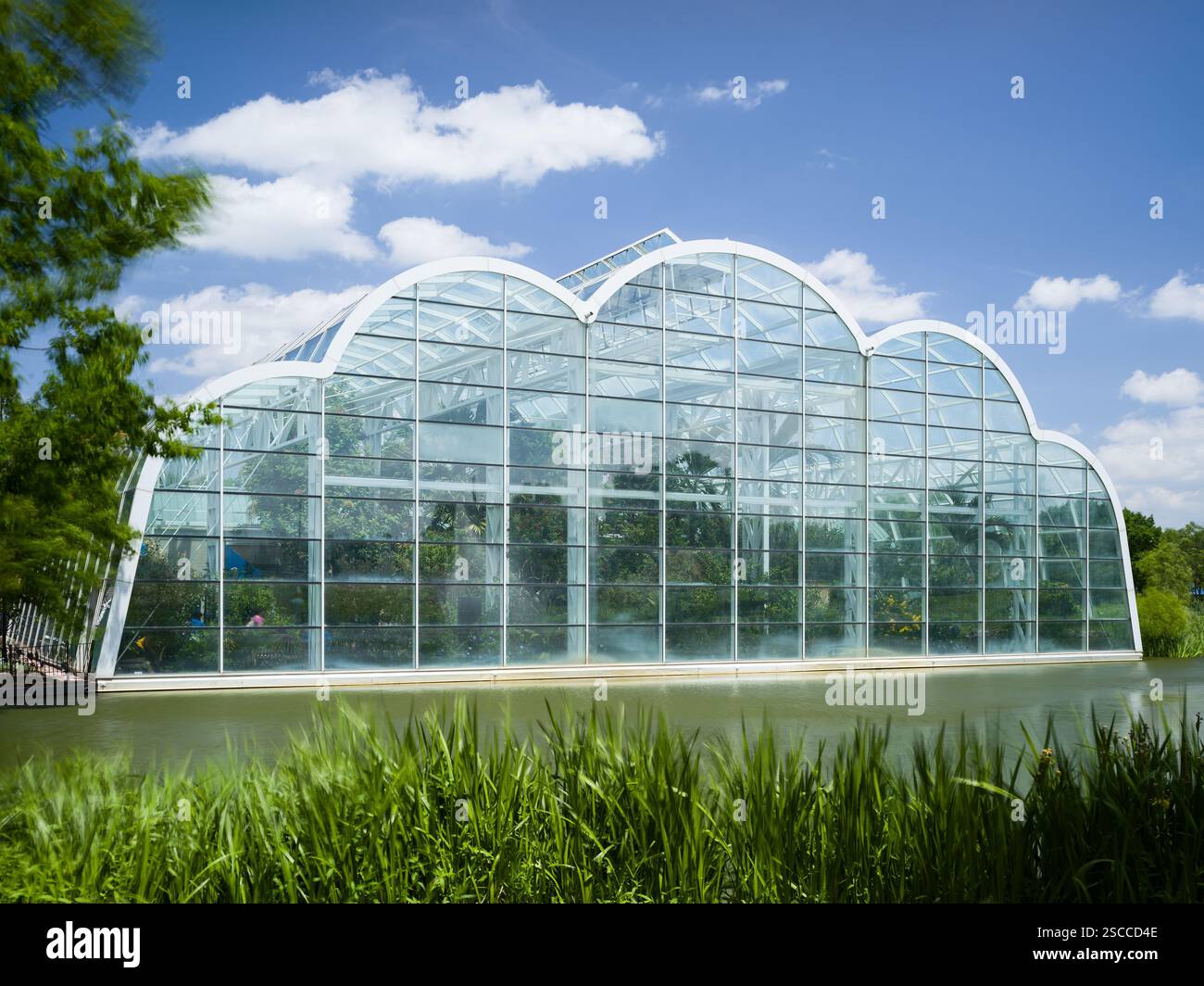 Missouri Botanical Garden - Sophia M. Sachs Butterfly House, Location ...