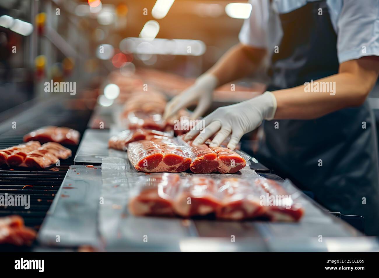 Close-up of meat industry worker gathering packaged premium meat on a ...