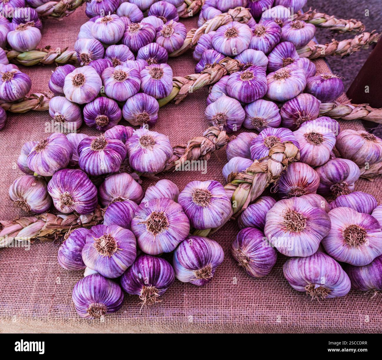 Garlic bulbs on display on market of St Remy de Provence, Buches du ...