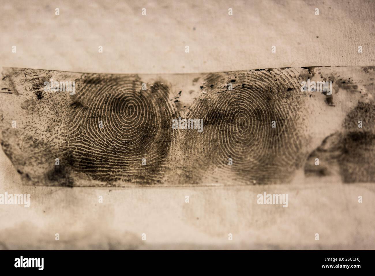 These photos were taken to go along with a story about the Grand Re ...