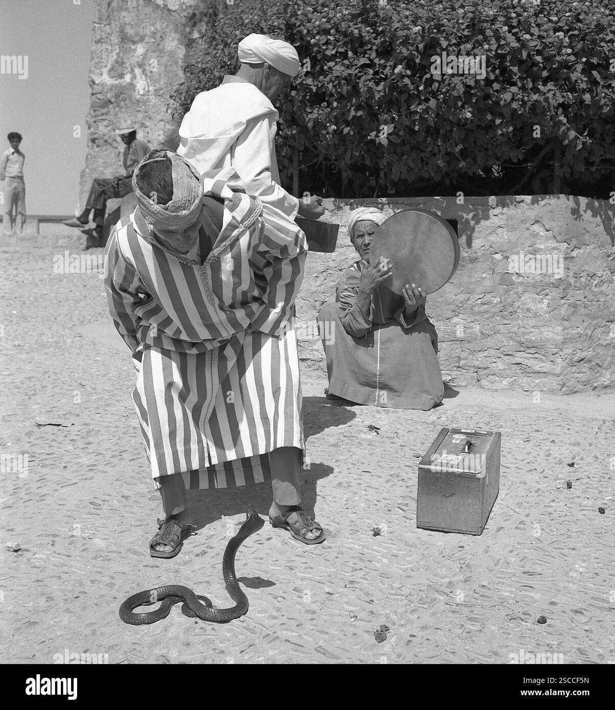 Snake charmer in Tangier in Morocco Stock Photo - Alamy