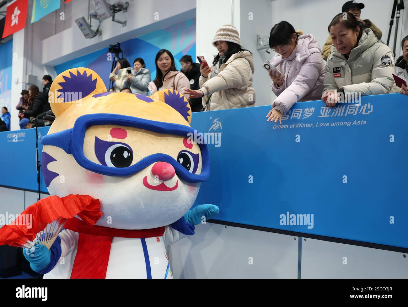 (250206) -- HARBIN, Feb. 6, 2025 (Xinhua) -- Binbin, mascot of the 9th ...