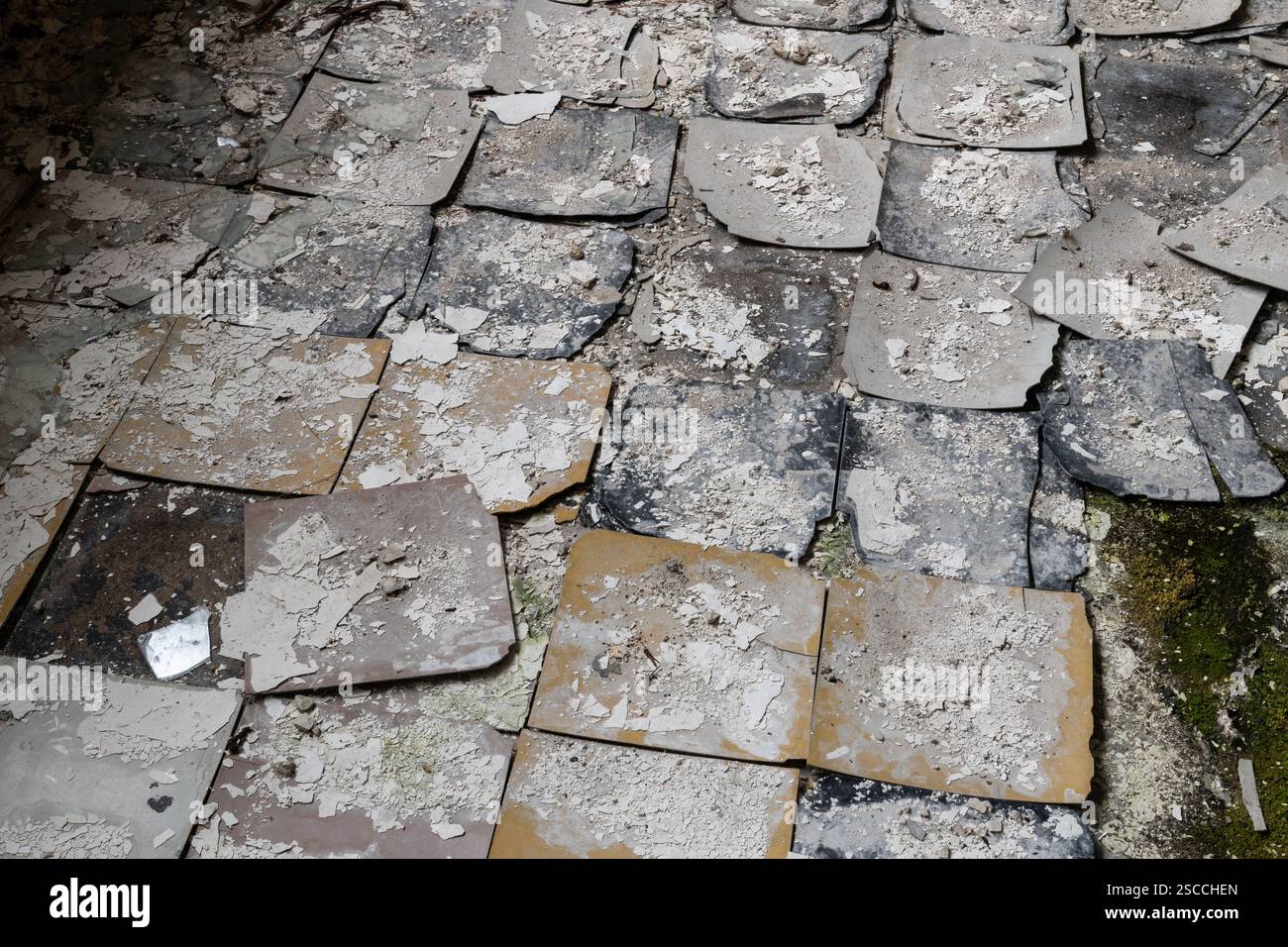 Broken floor tiles in abandoned building, messy floor with mold Stock ...