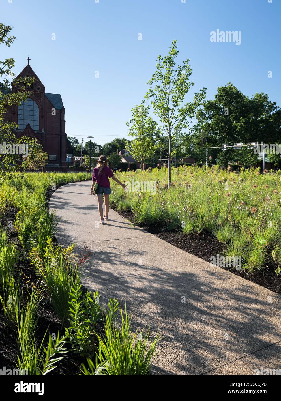 Carillon Park, Location: Centralia IL, Landscape architect: Arbolope ...