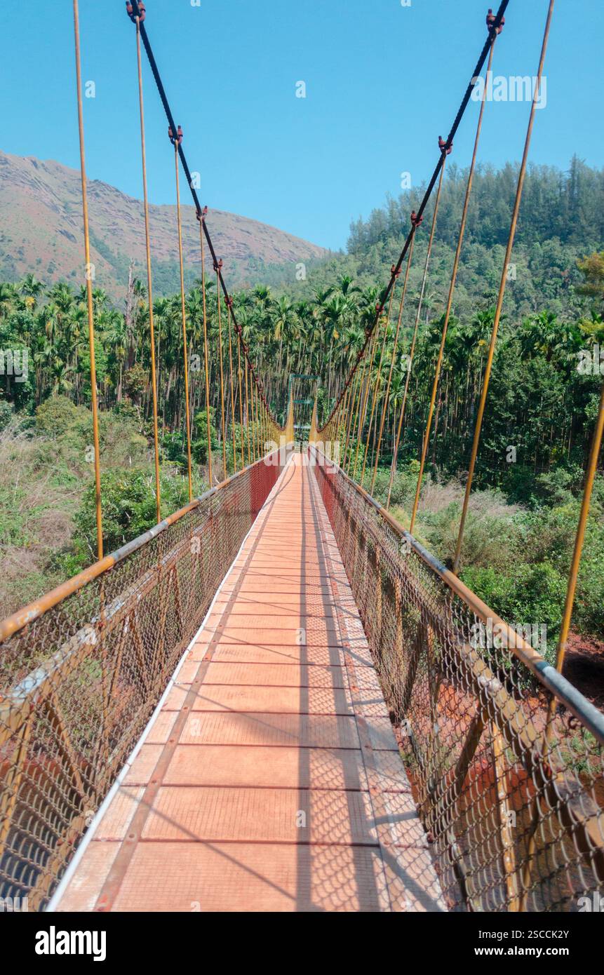 Wooden Hanging bridge over river in Kalasa, Chikkamagaluru, India Stock ...