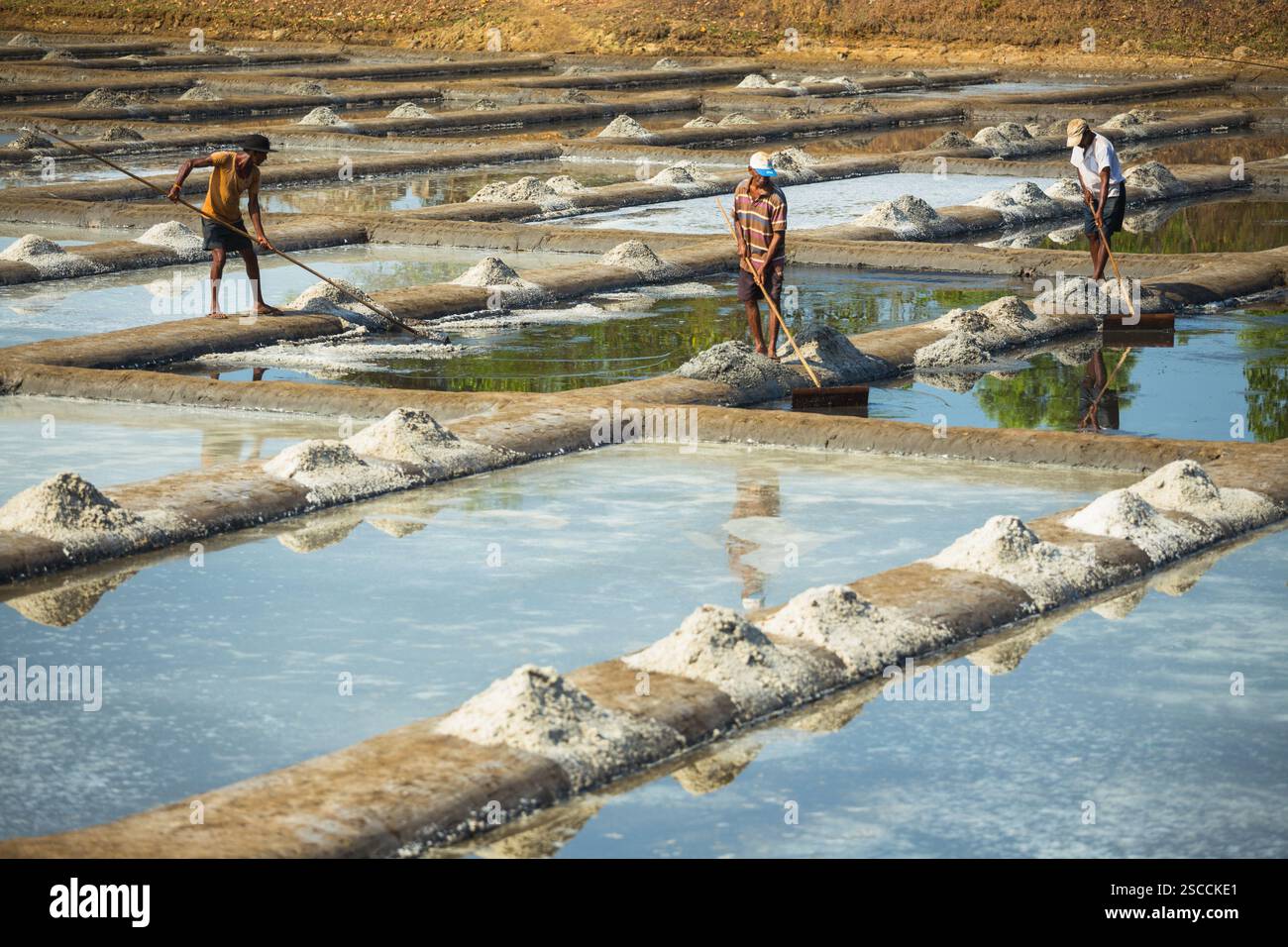 India, Goa, March 14 2017. Production of salt on a farm in India Stock ...