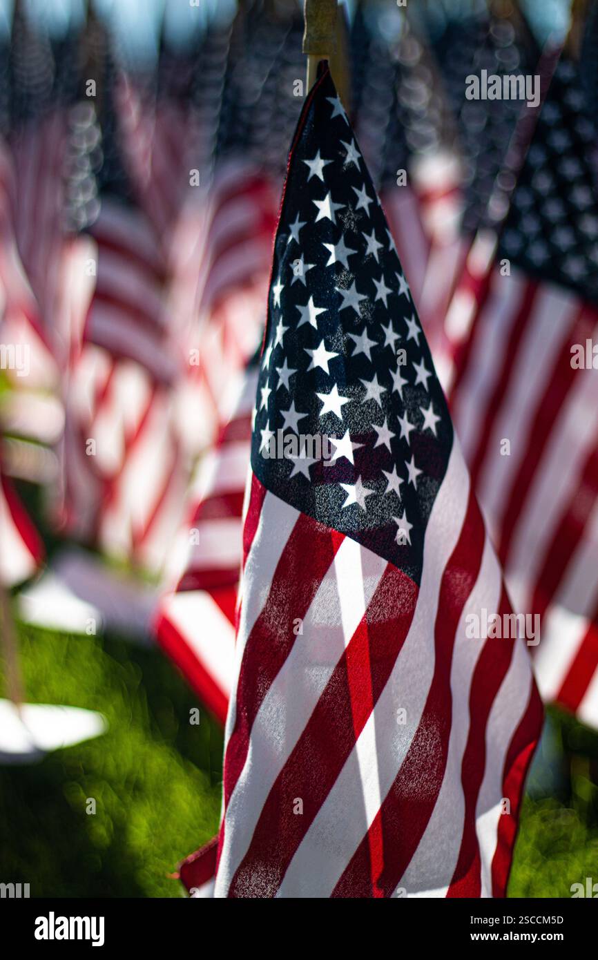 American flags placed in the ground to remember fallen heroes in ...