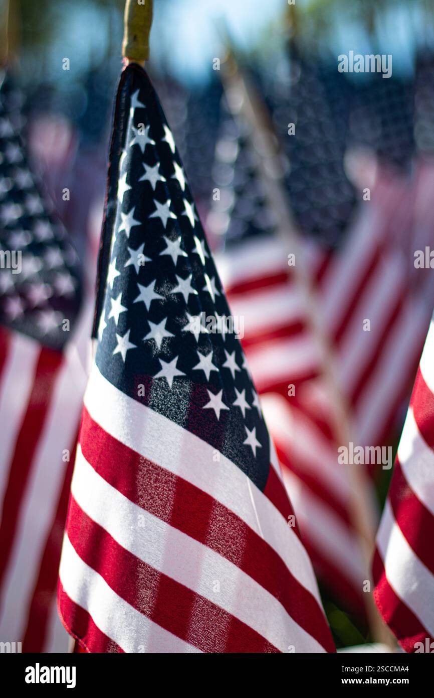 American flags placed in the ground to remember fallen heroes in ...