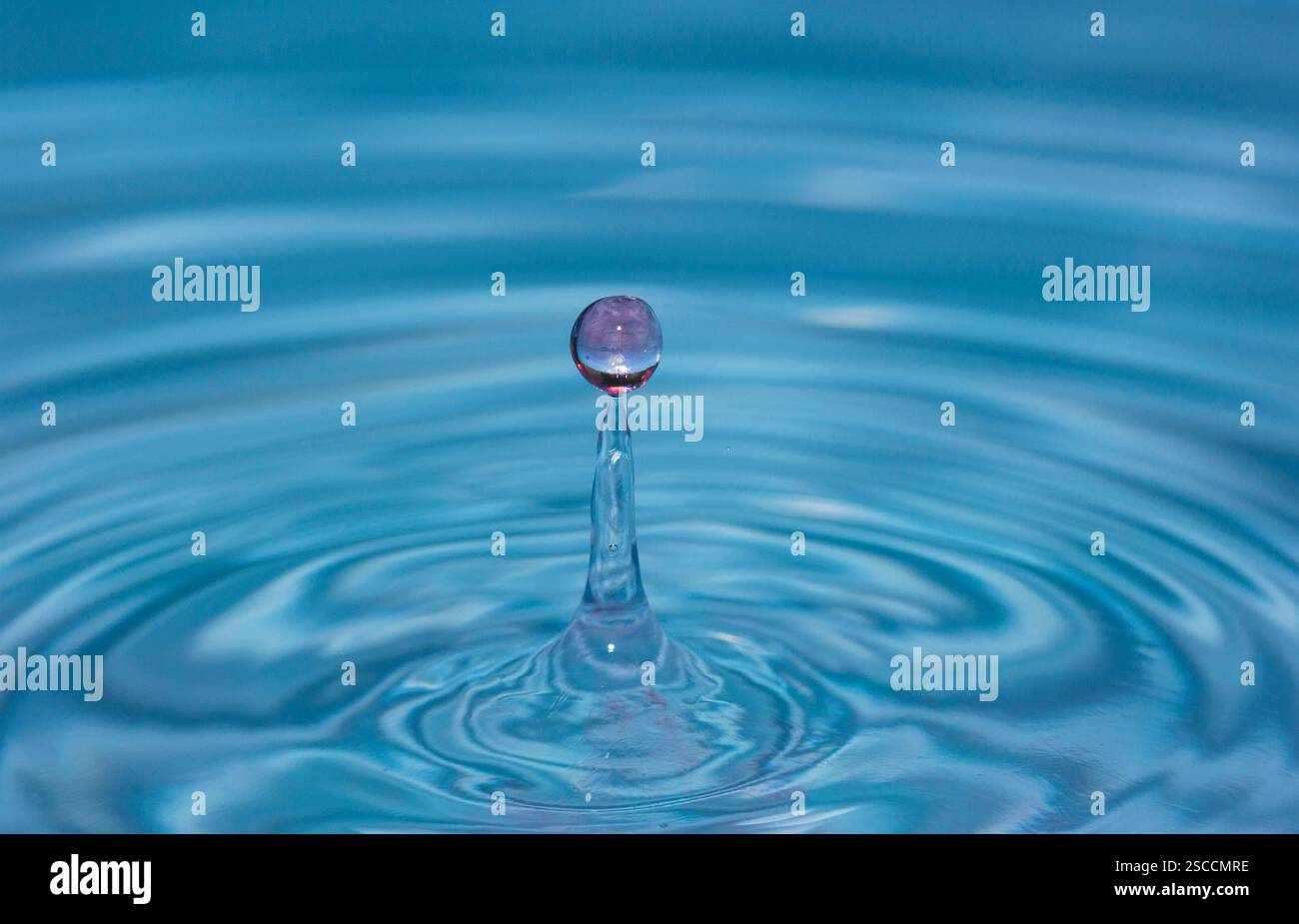 Water drop falling into water making a perfect concentric circles Stock ...
