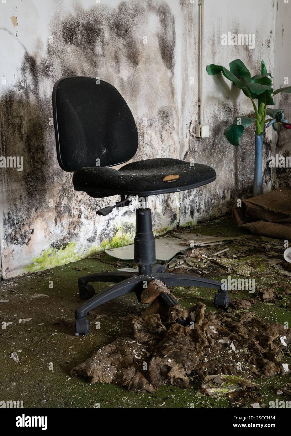 Dirty office chair in abandoned building, decayed building with moldy ...