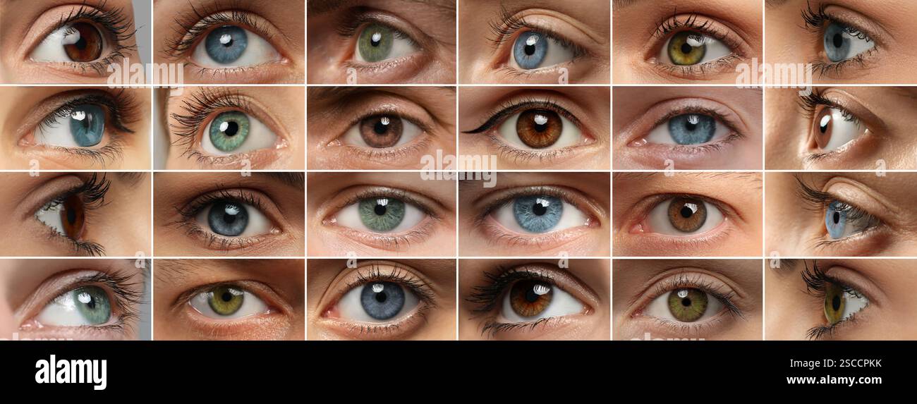 People with eyes of different colors, collage of photos Stock Photo - Alamy
