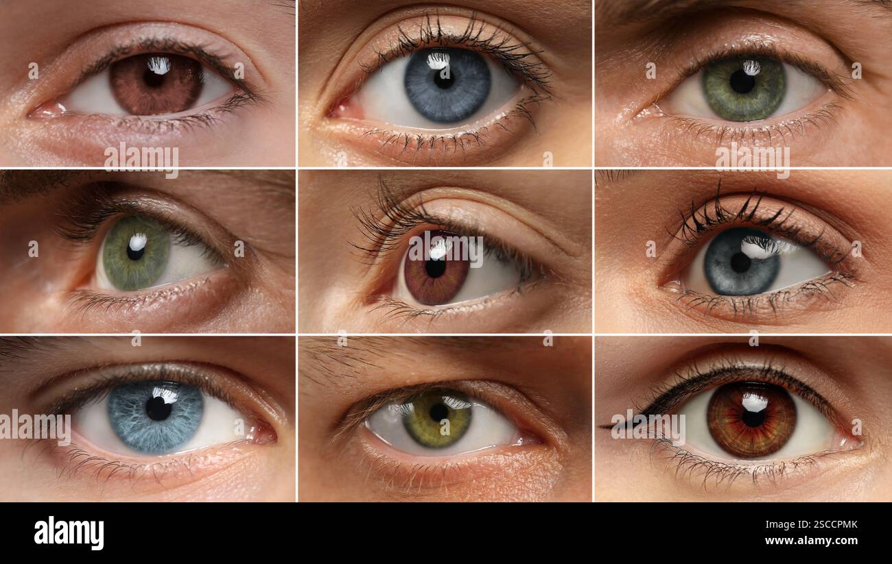 Different eye colors human hi-res stock photography and images - Alamy