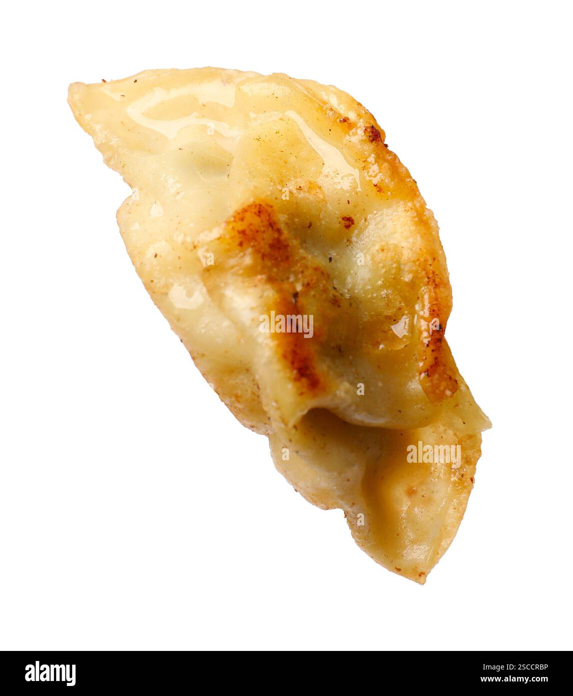 One fried gyoza dumpling isolated on white Stock Photo - Alamy