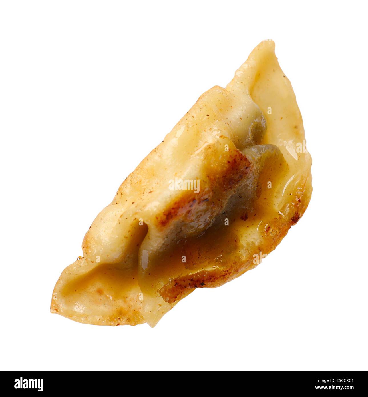 One fried gyoza dumpling isolated on white Stock Photo - Alamy